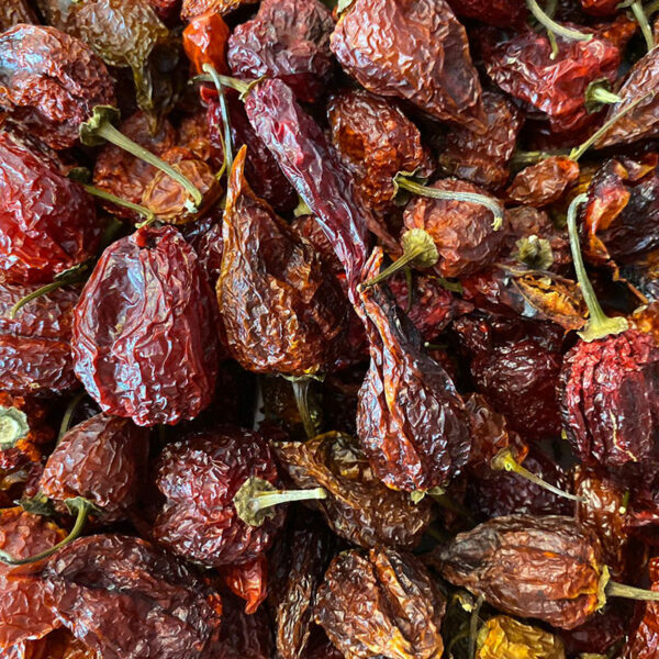 Shop – Villa Vanilla – Rainforest Spices