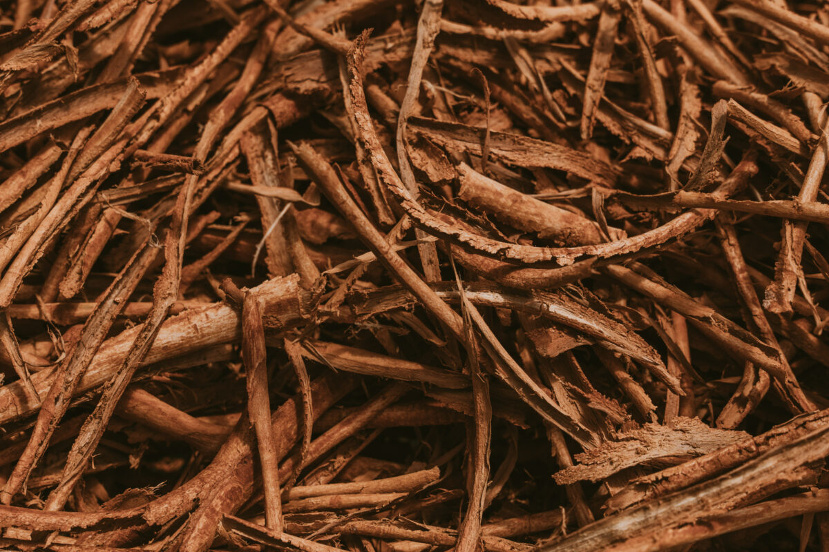 Ceylon Cinnamon Bark – Villa Vanilla – Rainforest Spices